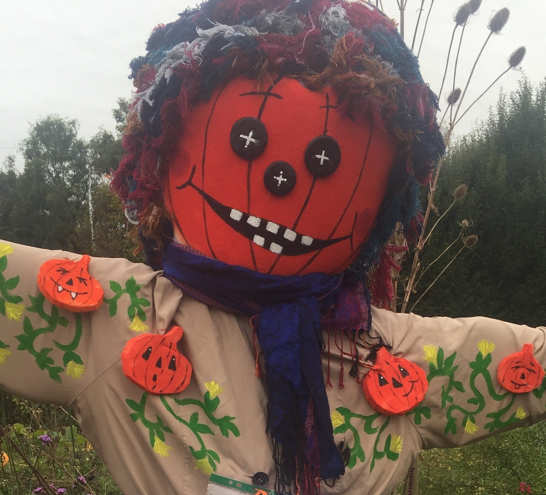 Skerries Community Garden Scarecrow Festival 2024 - Skerries Mills